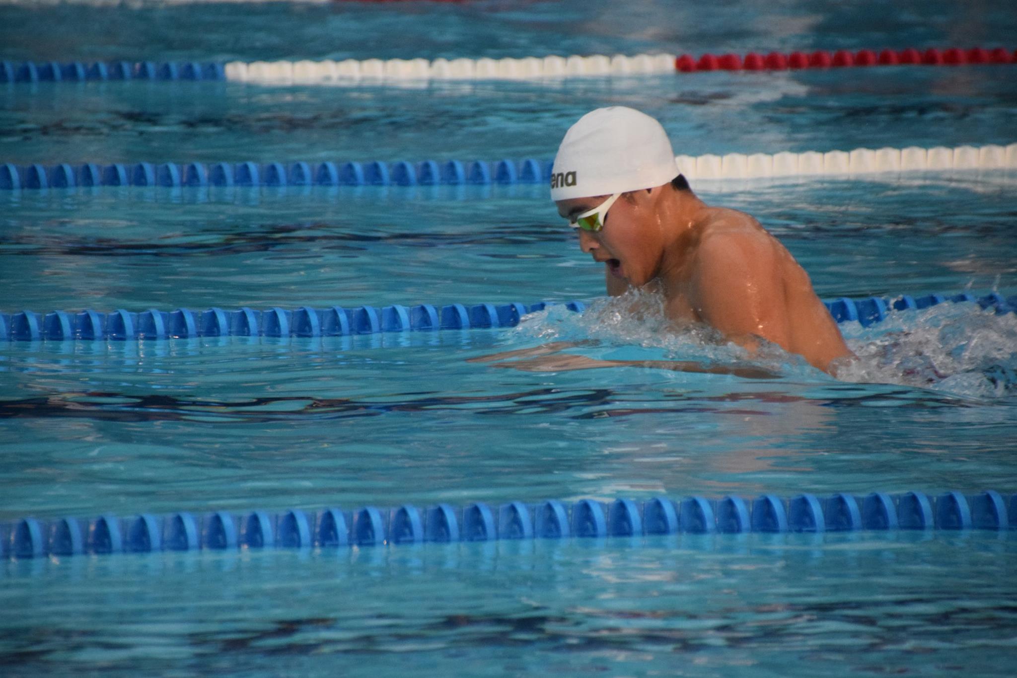 photo natation course générique – Aquatique Club Agglomération Périgueux